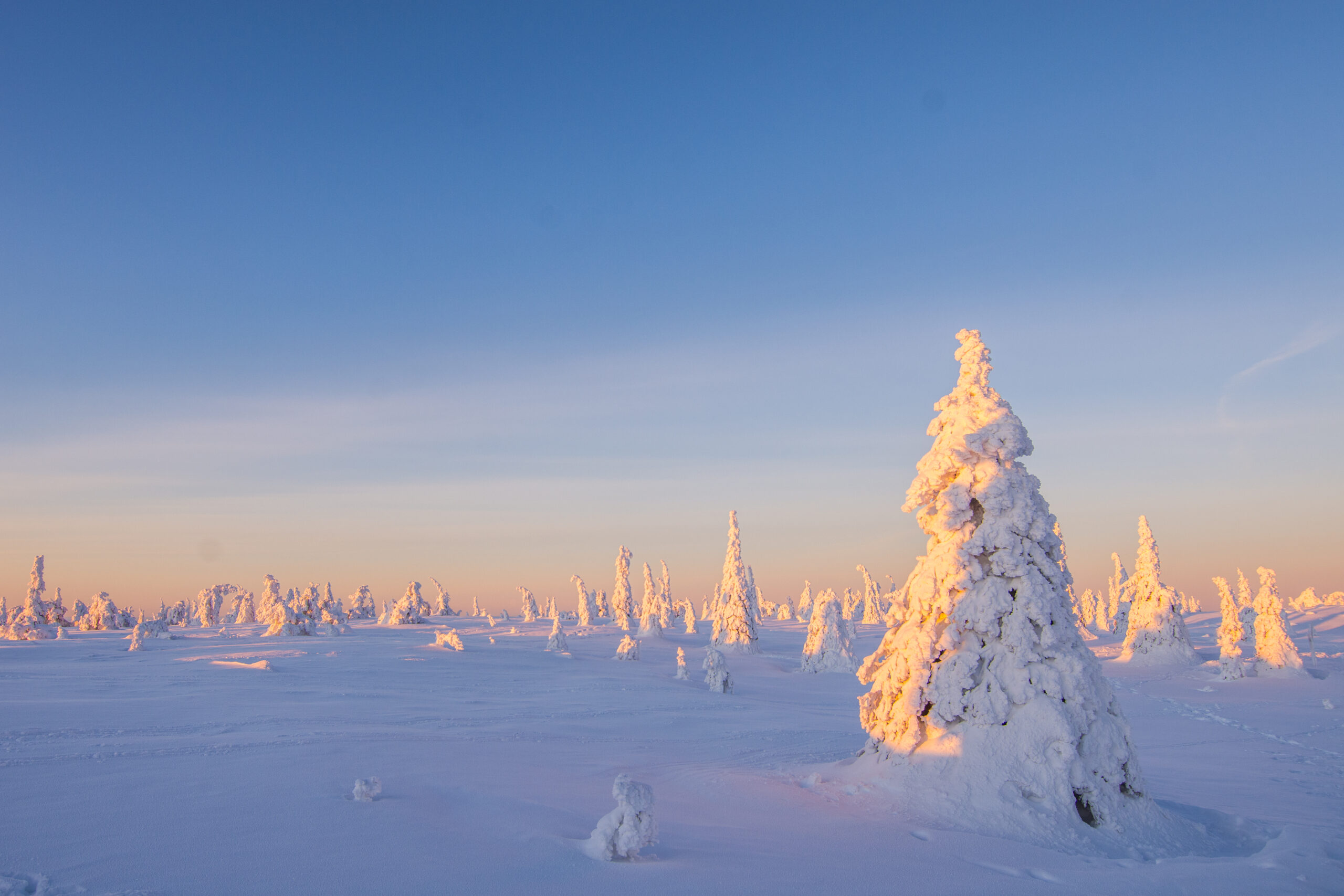 LapIT Uutiskirje 6/2023