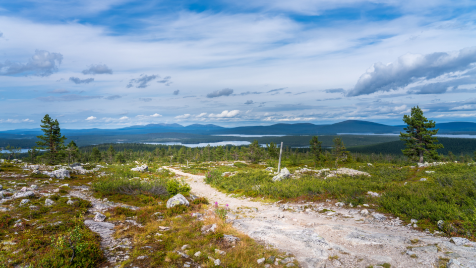 LapIT vuoden 2023 aiemmat uutiskirjeemme